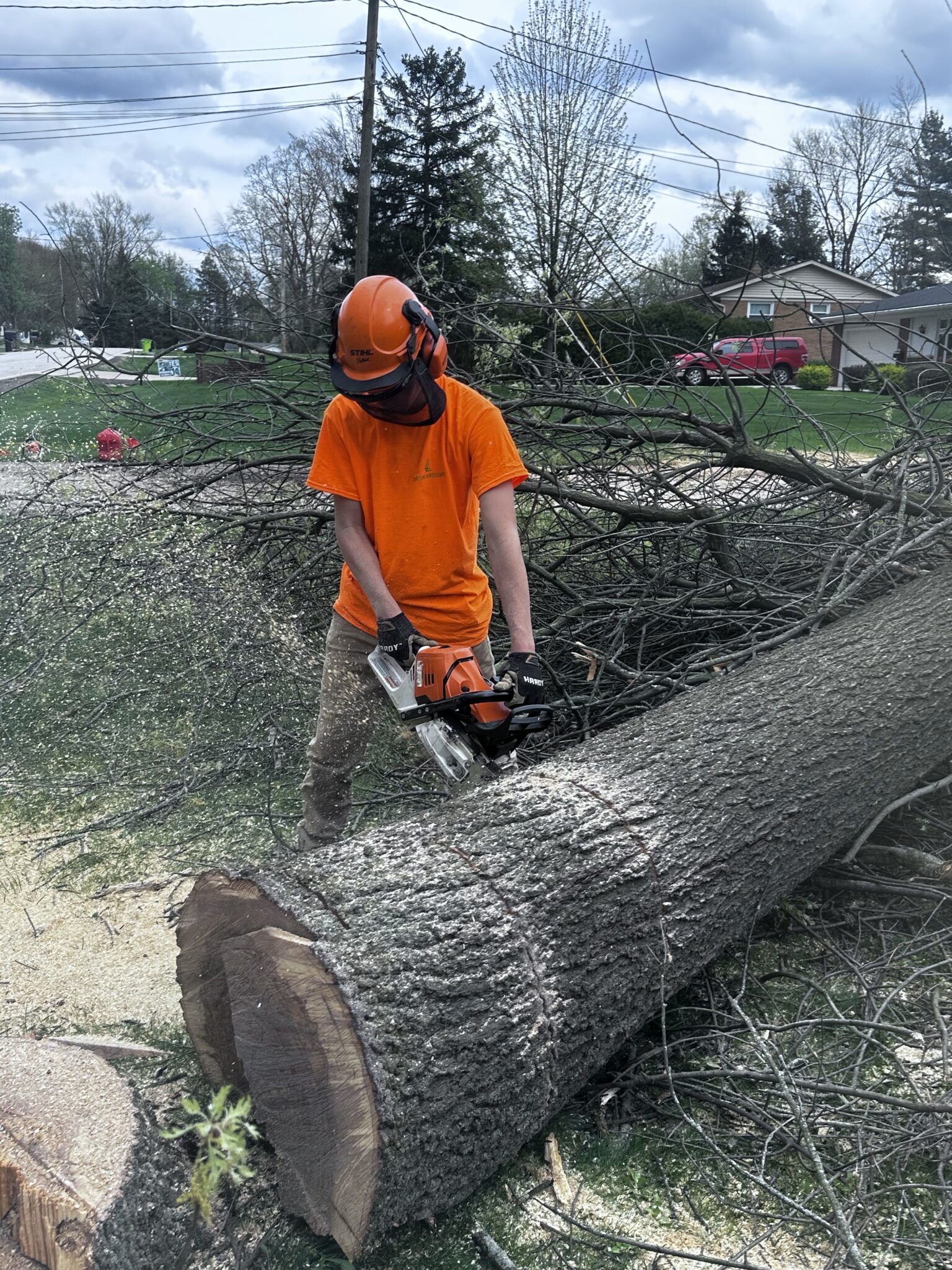About Lavish Landscape Tree Removal LLC - Lavish Landscape