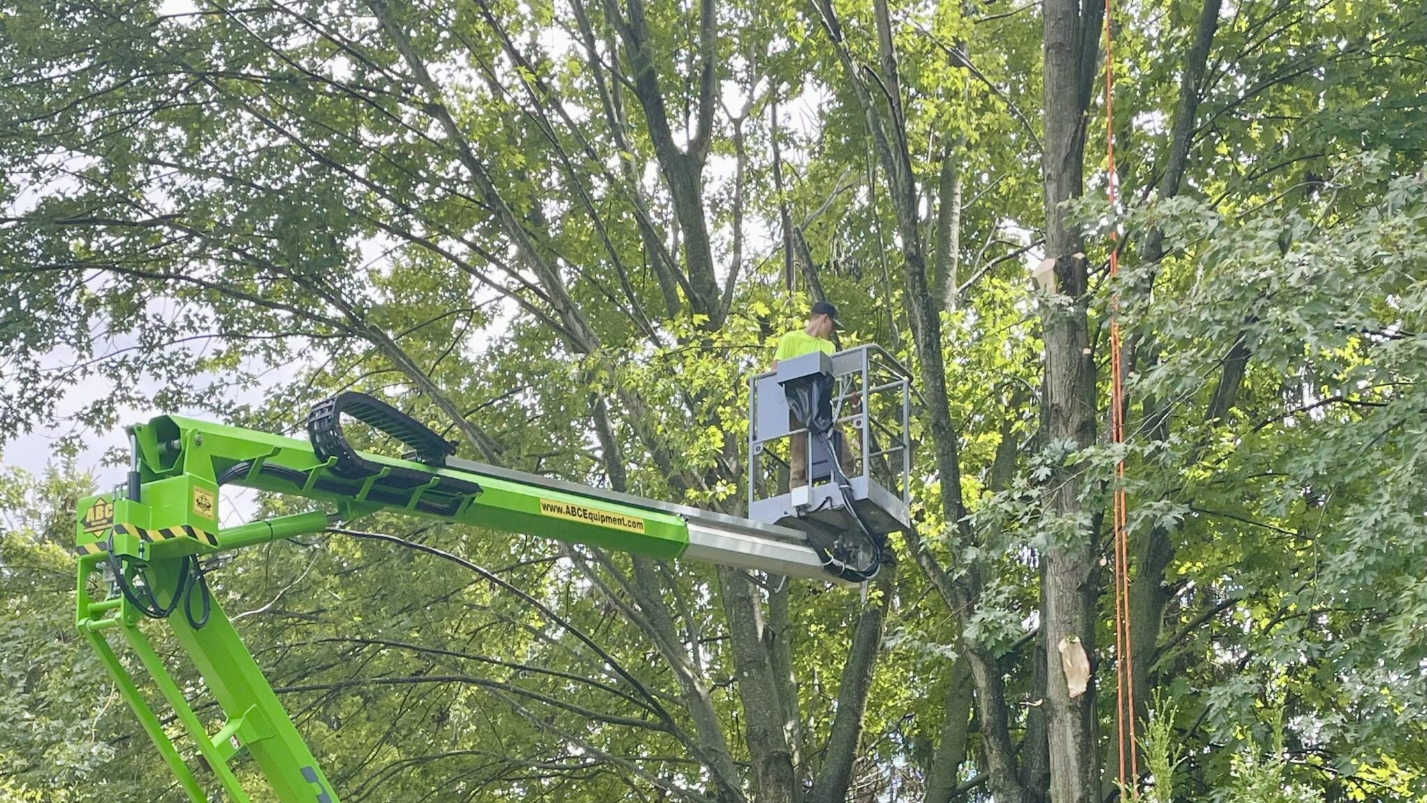Tree Services | Parma OH | Lavish Landscape Tree Removal LLC